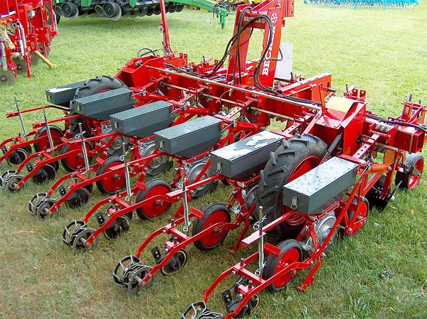 Zuckerrübe – KiwiThek