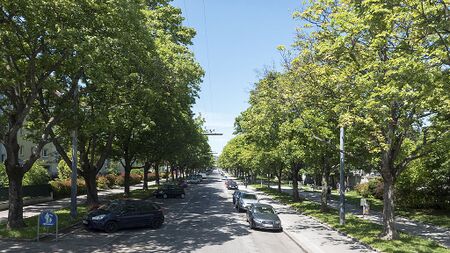 Straßen und Gassen des 17. Bezirks – KiwiThek