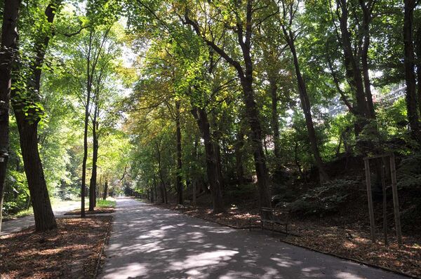 Parks des 17. Bezirks – KiwiThek