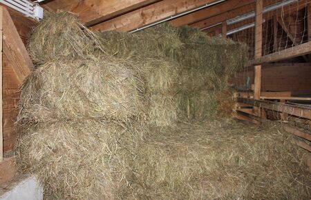 Landwirtschaft – KiwiThek