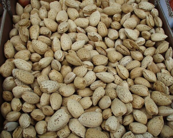 Vitamine – KiwiThek