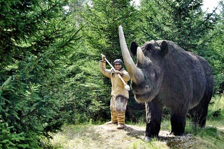 Nashorn – KiwiThek